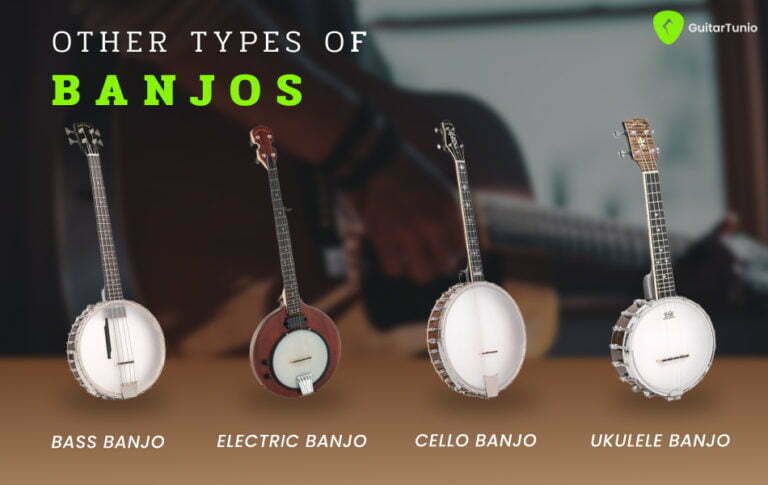 Types Of Banjos - Guitar Tuner - Guitar Tunio