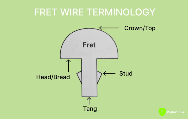 Fret Sizes: Choosing The Right Size For You - Guitar Tuner - Guitar Tunio