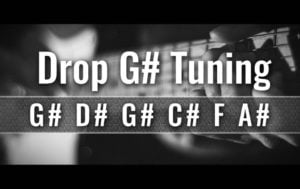 Drop G# Tuning 6-string And 7-string: What Is Diferents? - Guitar Tuner ...
